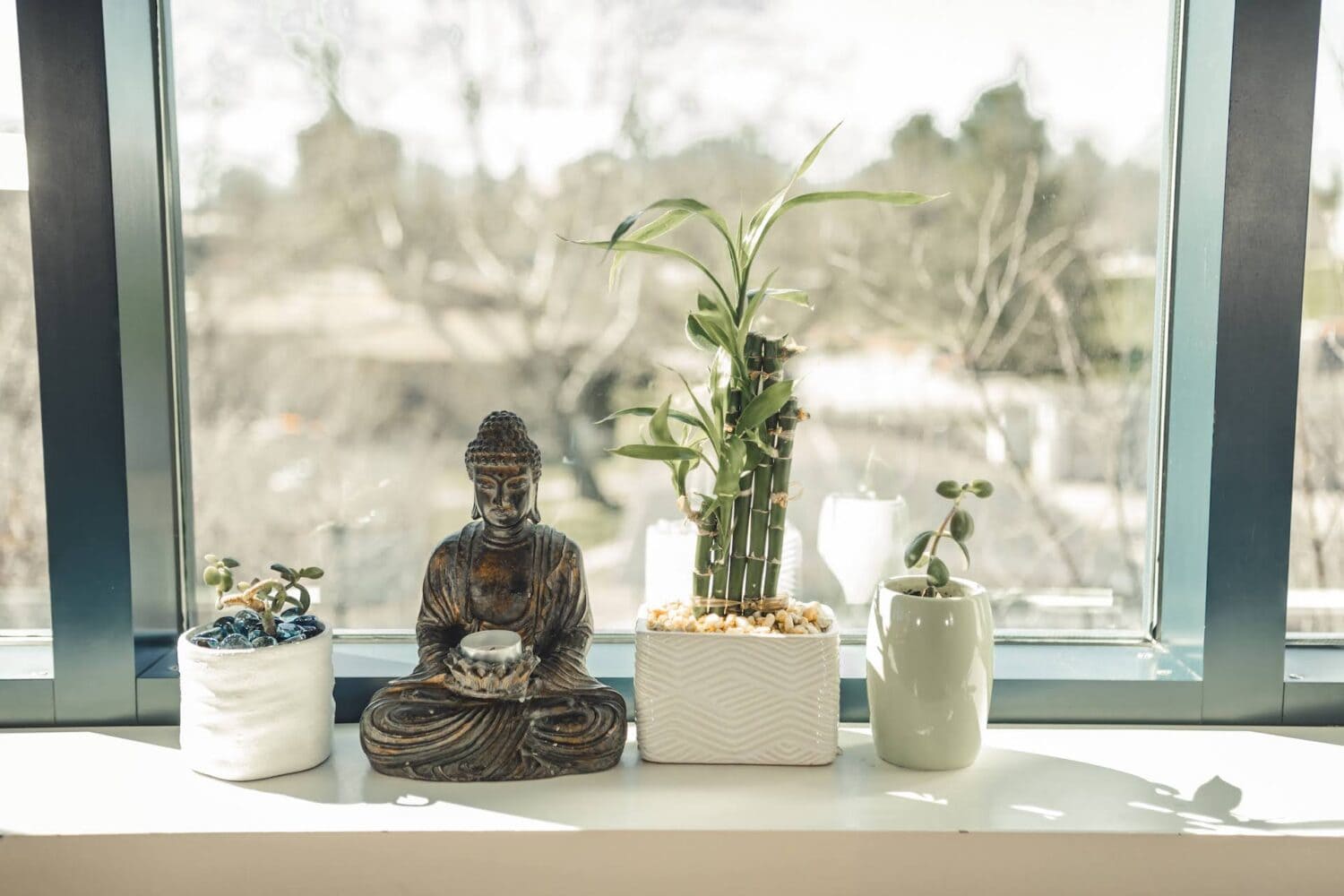 How to Get Started with Guided Meditation | Asheville Wellness Tours